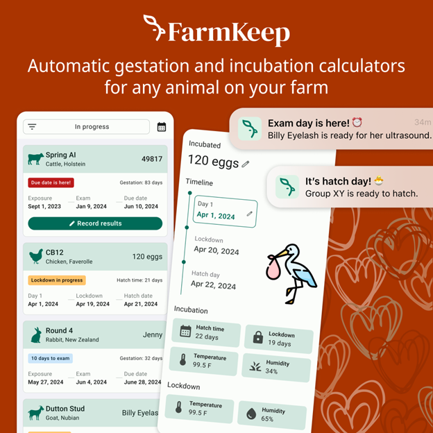 Cattle Gestation Calculator